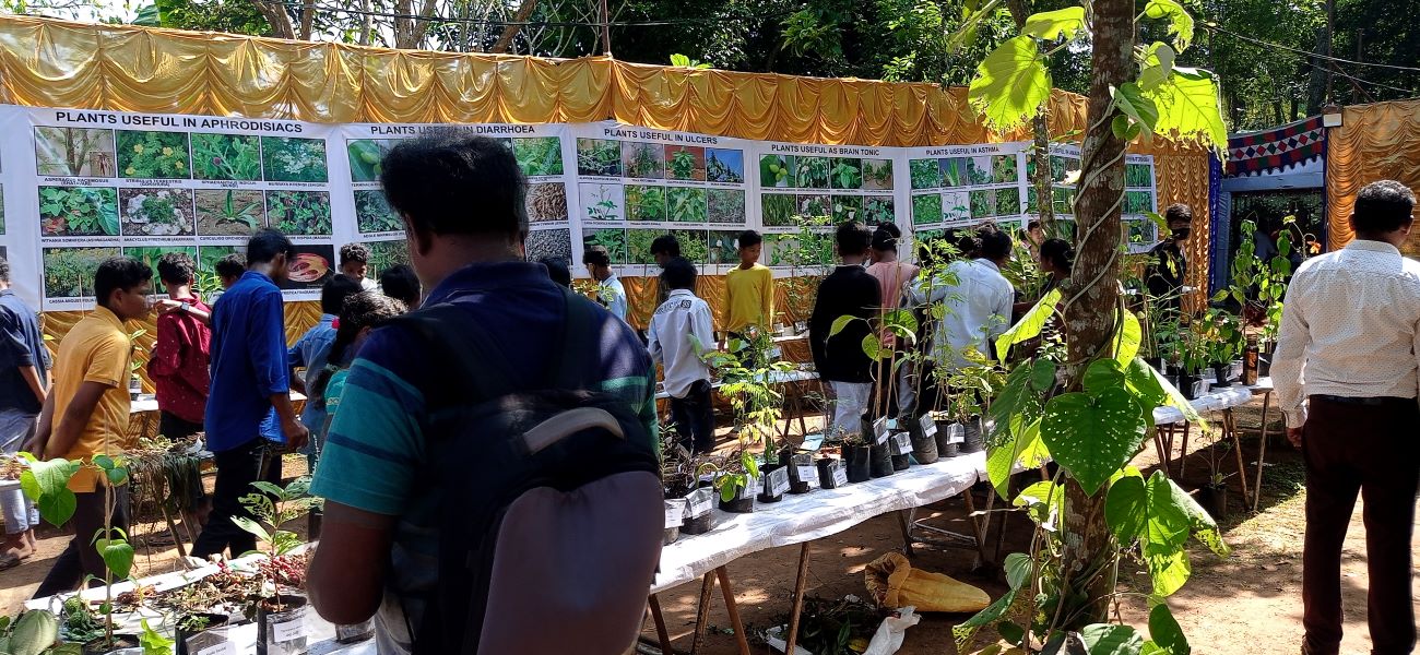 HISTORY OF AYURVEDA | Ayurvedic Medicinal Plants