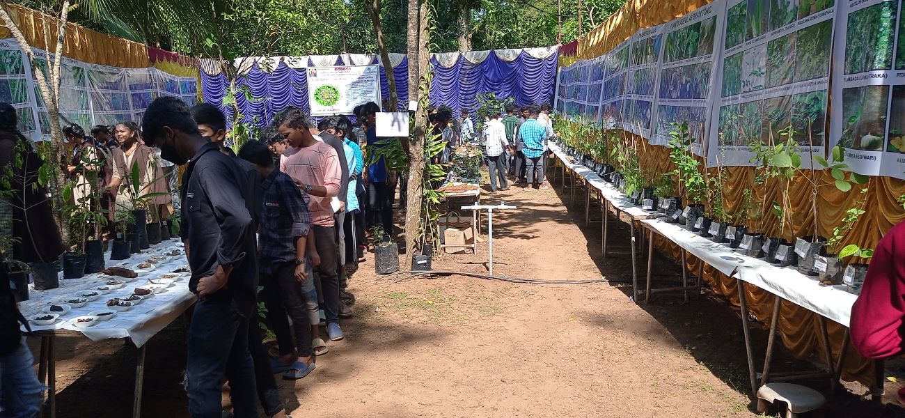 HISTORY OF AYURVEDA | Ayurvedic Medicinal Plants